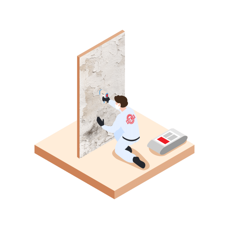 XRF Lead Testing - New York - Exit Mold