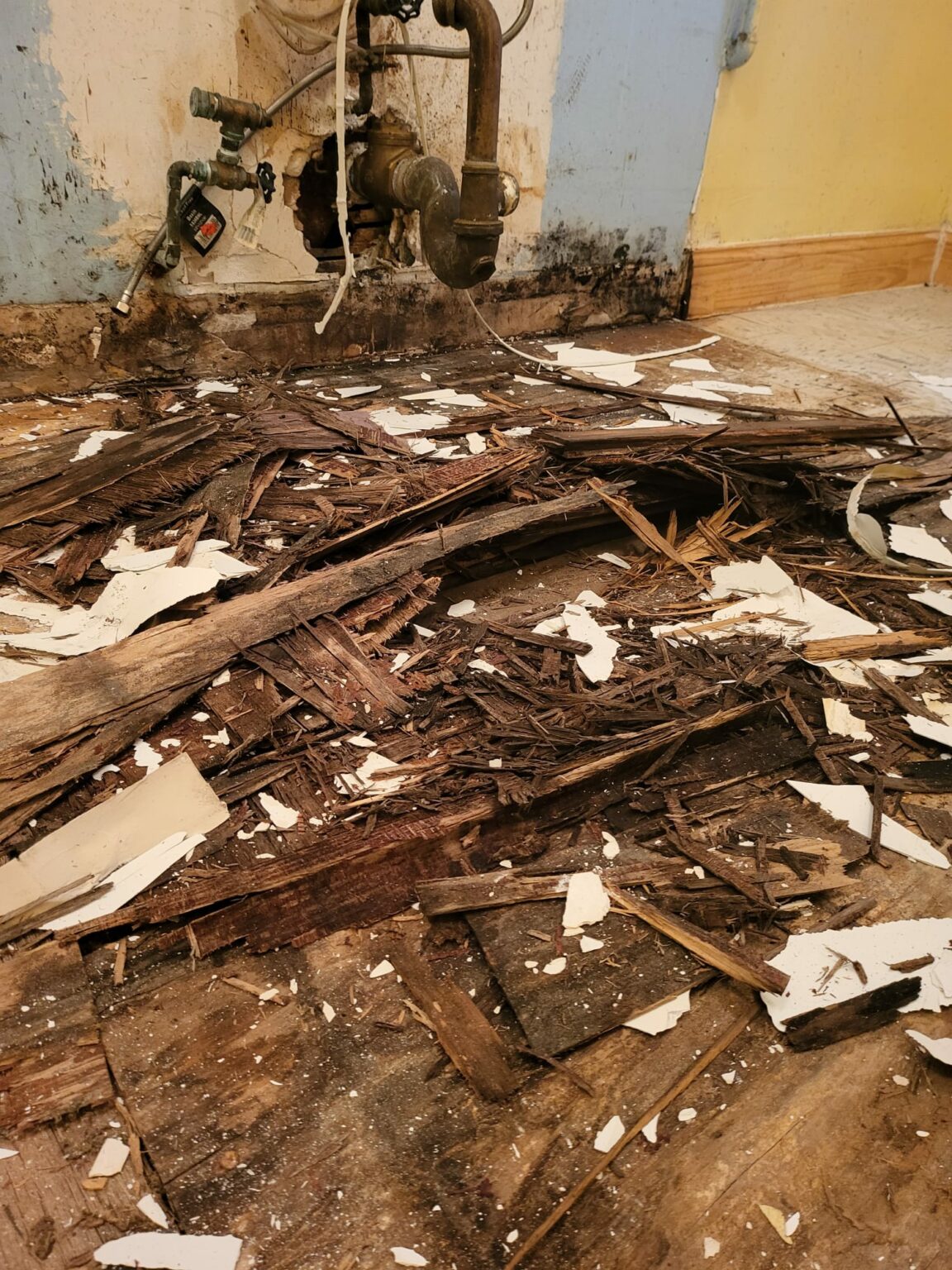 How To Repair Water-Damaged Wood In New York City - Exit Mold