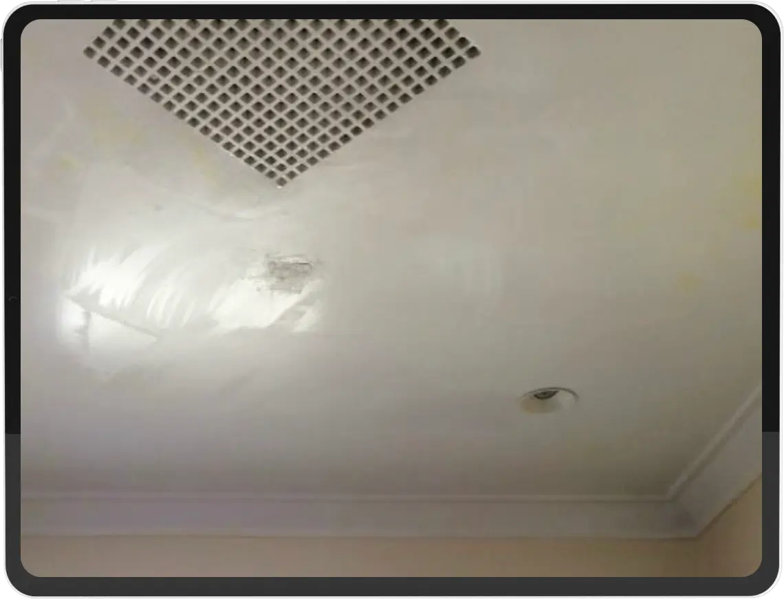 Exit Mold | NYs #1 Lead, Mold, HPD Compliance And Restoration Services