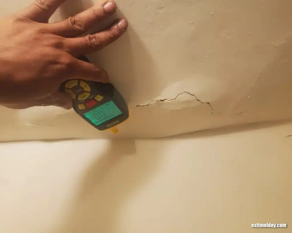 What Are The Top Signs Of Mold Sickness