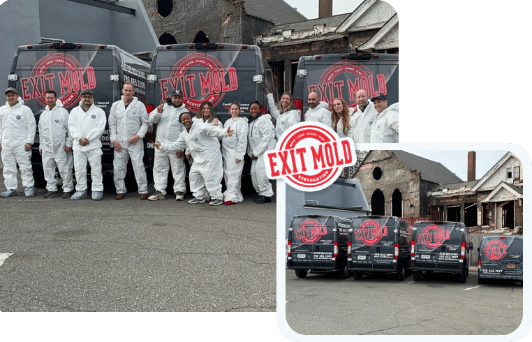 Exit Mold | NYs #1 Lead, Mold, HPD Compliance And Restoration Services