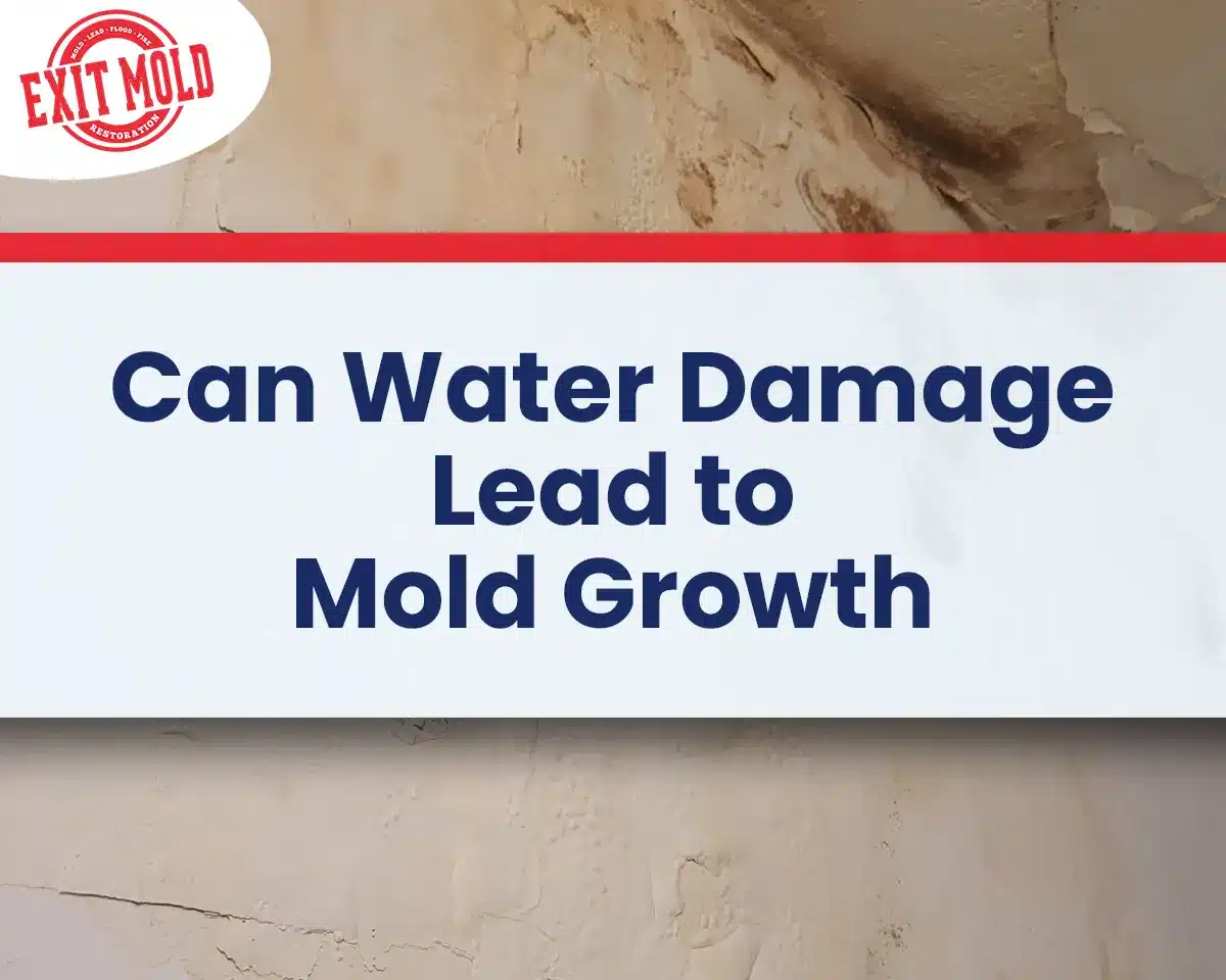 Can Water Damage Lead To Mold Growth?