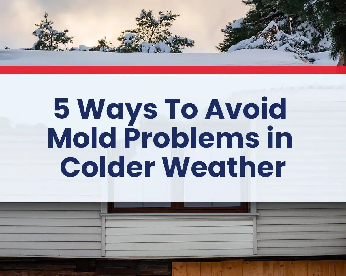 5 Ways To Avoid Mold Problems In Colder Weather
