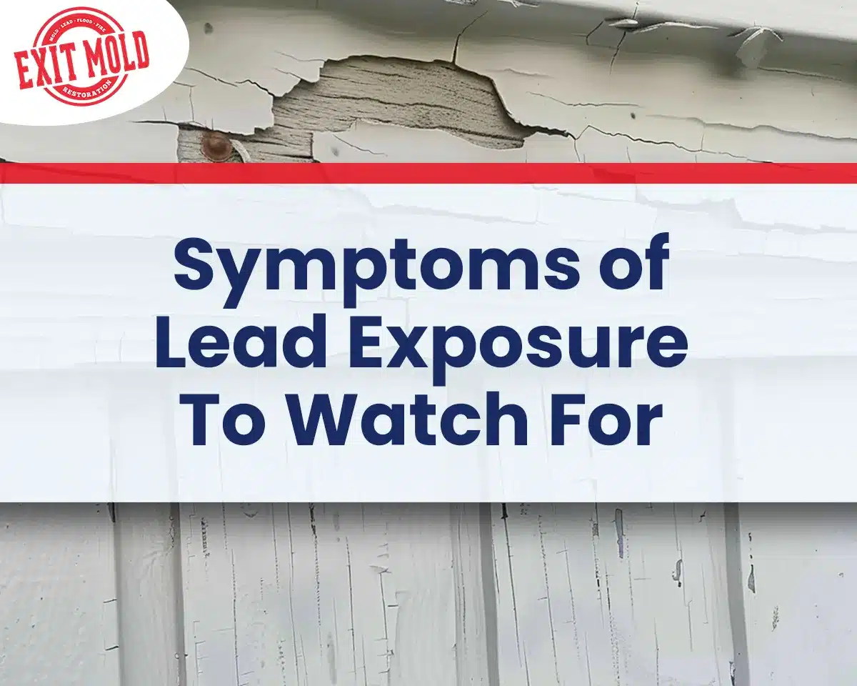 Symptoms Of Lead Exposure To Watch For