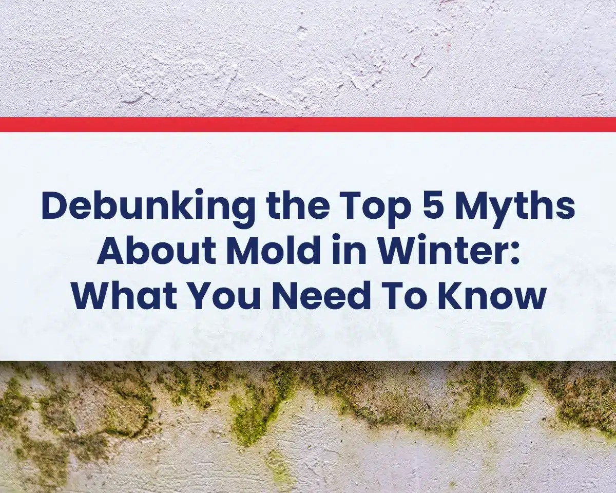 Debunking The Top 5 Myths About Mold In Winter: What You Need To Know