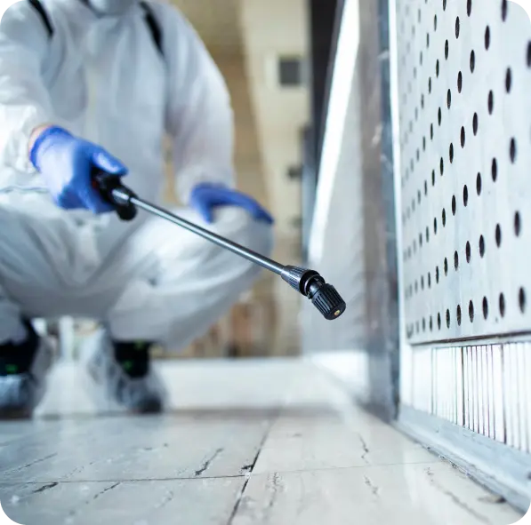 Mold Remediation In NYC & Long Island | Exit Mold