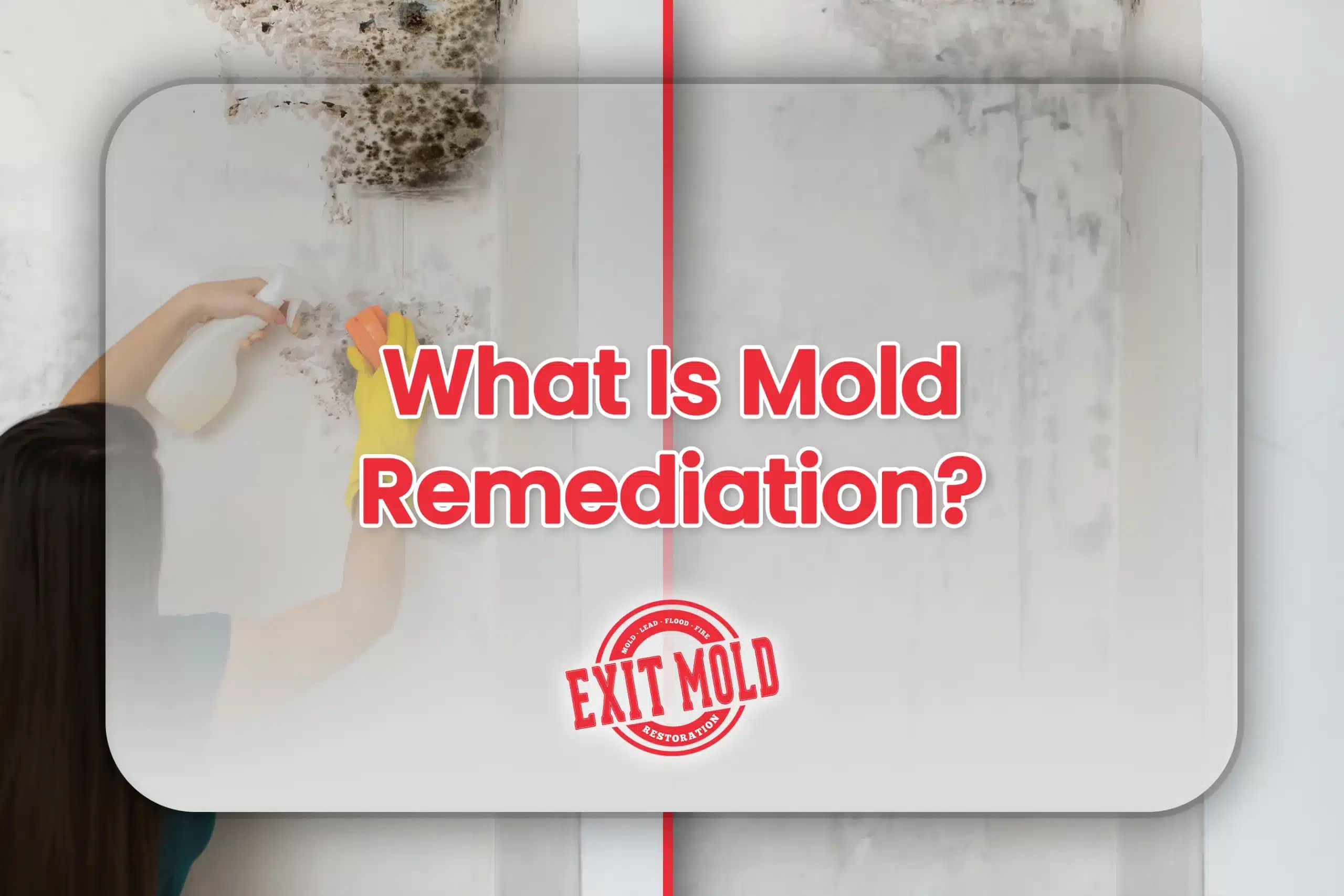 What Is NYC Local Law 31? - Exit Mold