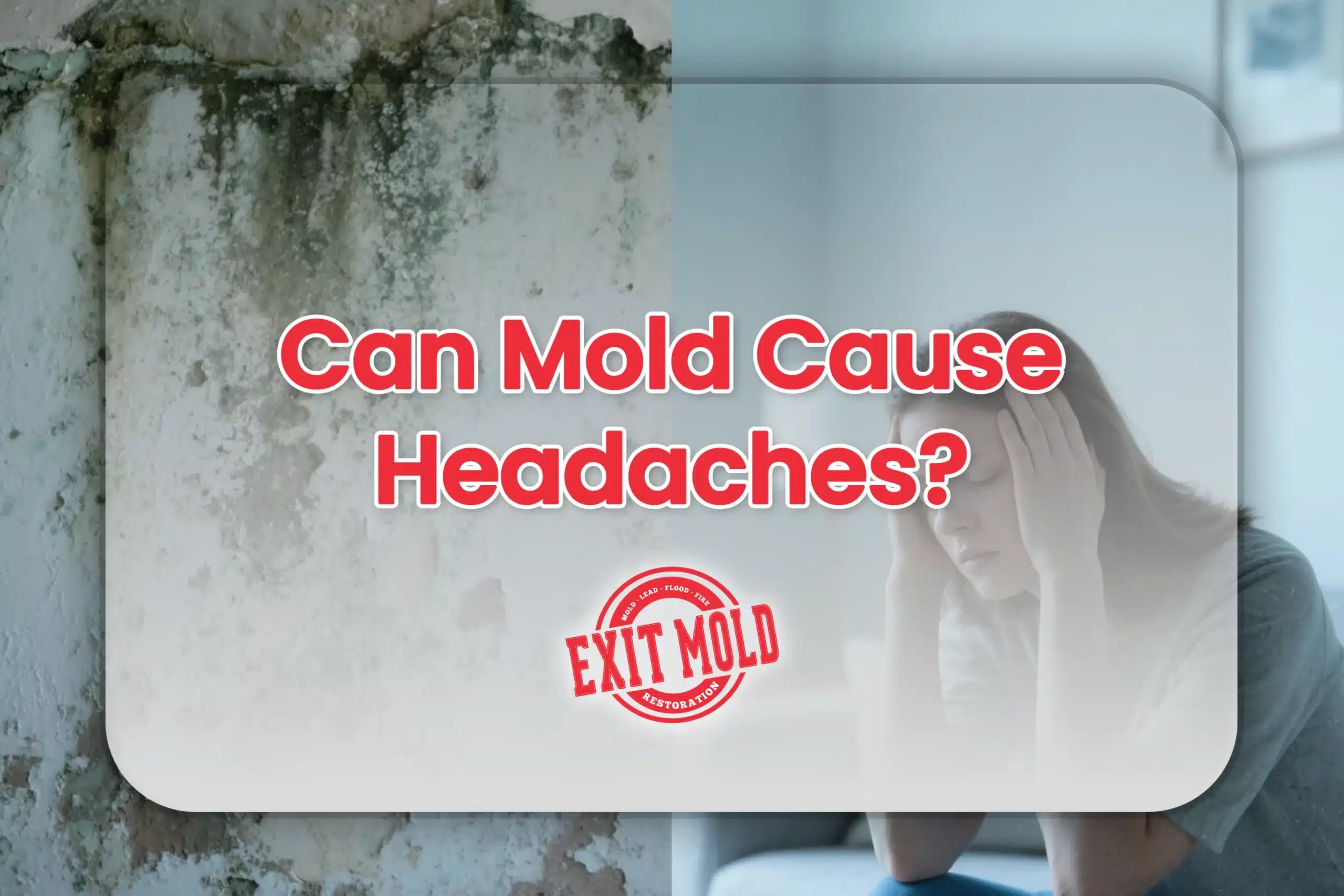 How To Clear HPD Violations In New York